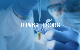 Exploring the Excellent Performance of BTW69-800RG in Power Systems_UCC INDU GmbH