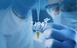 Discussion on the key role of TIP47 in switching power supply_UCC INDU GmbH